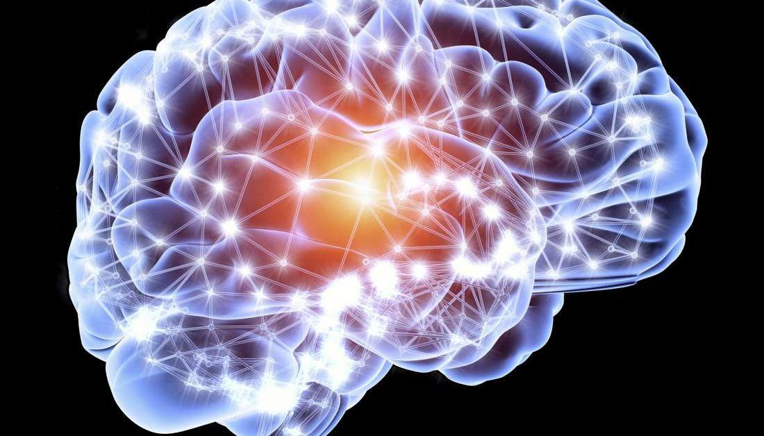 What does autism look like in the brain?