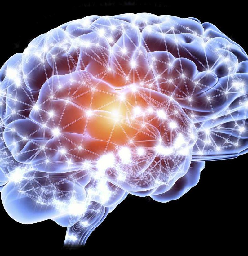 What does autism look like in the brain?