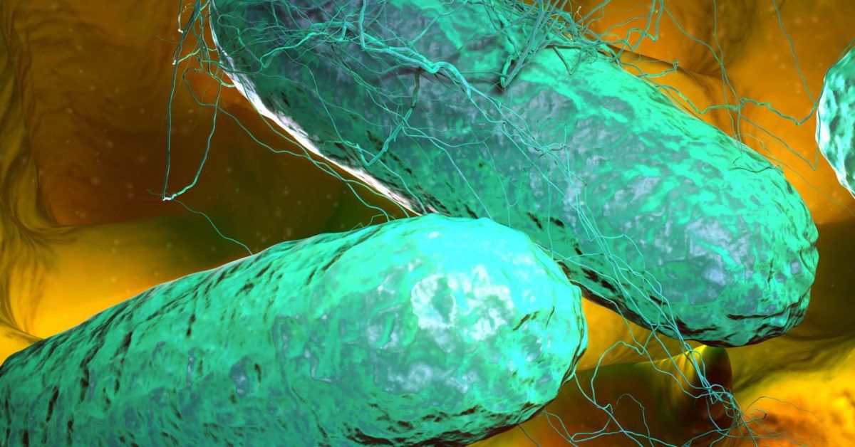 Tifoidea: Síntomas, tratamiento, causas y prevención