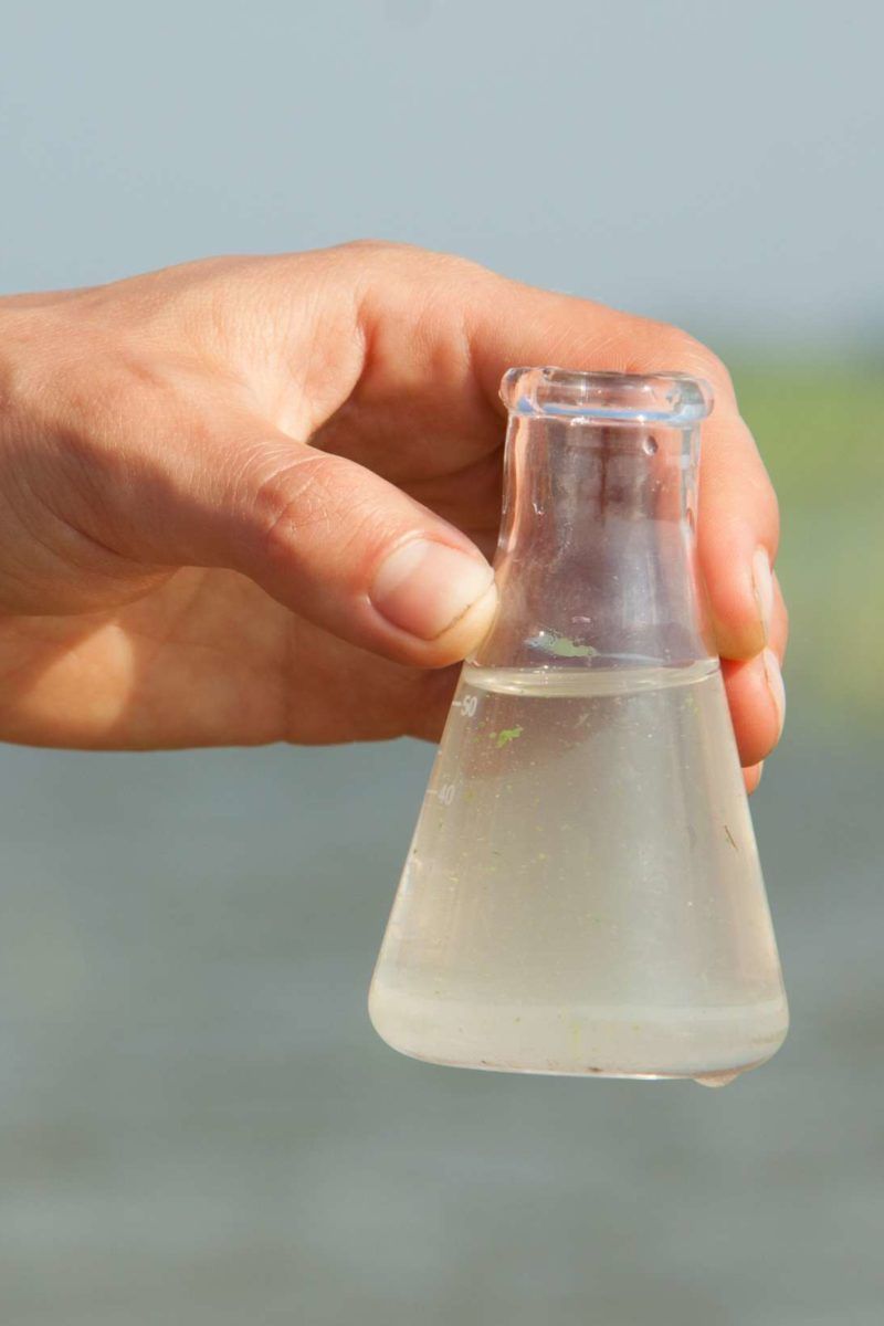 Hepatitis E: Causes, symptoms, and treatment