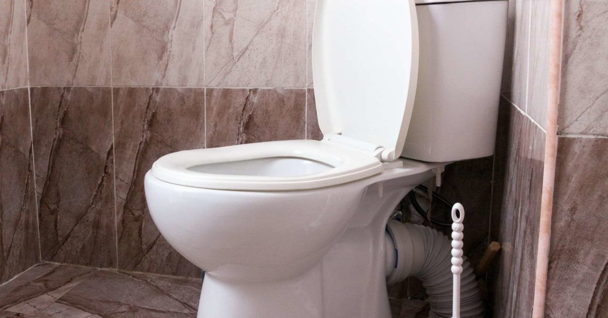 8 causas de heces con mal olor