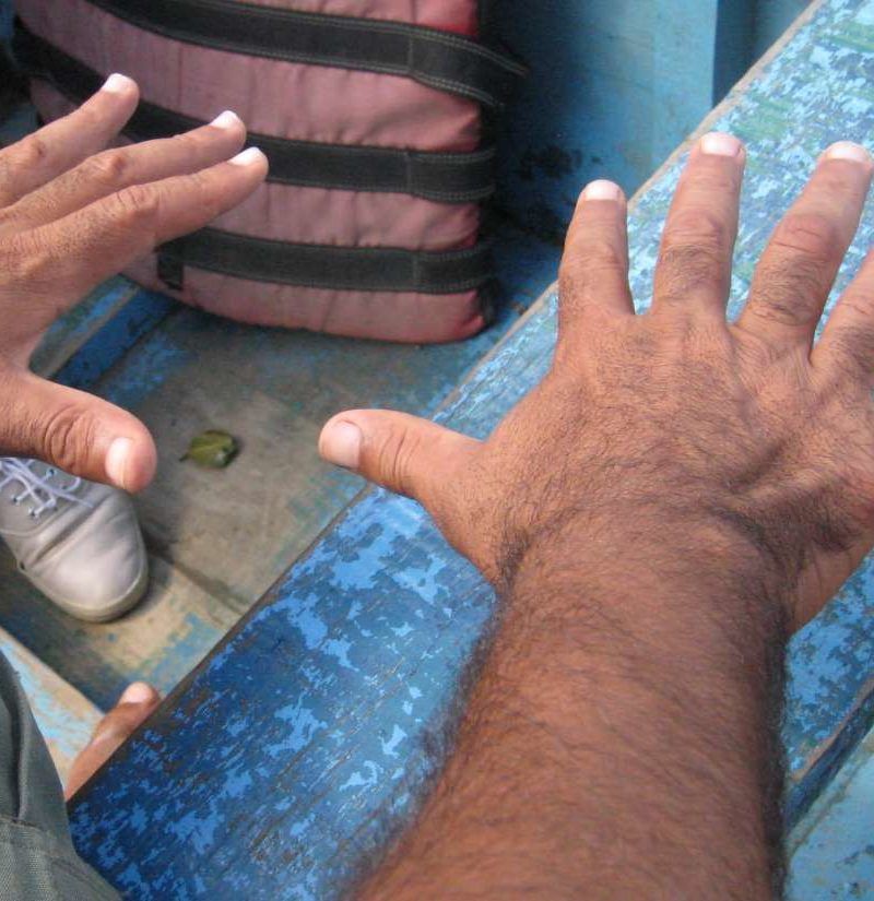 Why 6 fingers per hand are better than 5