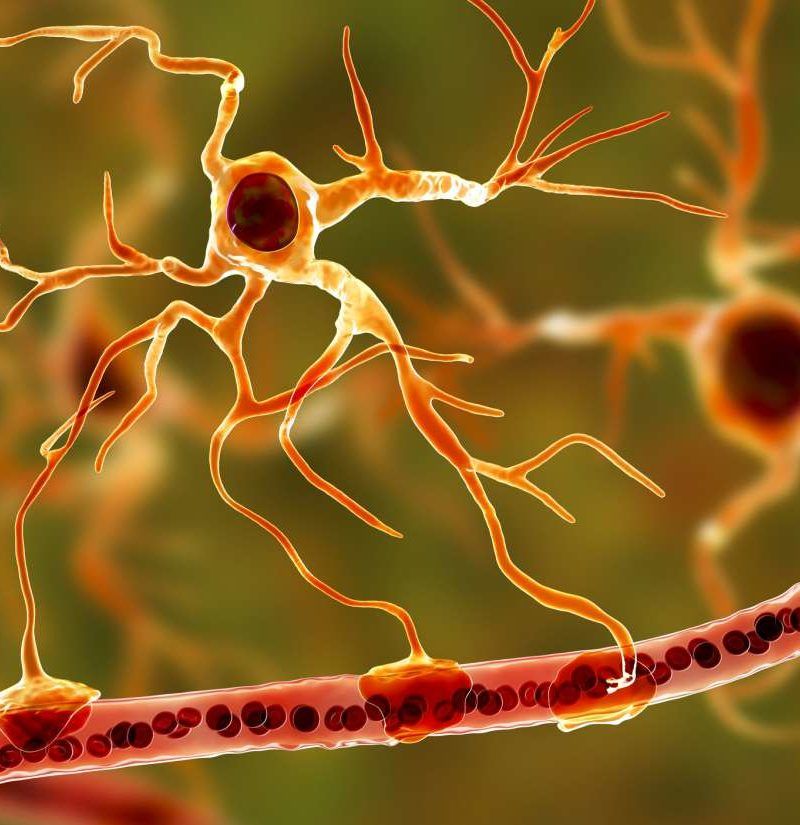 The glymphatic system: What is it and what does it do?