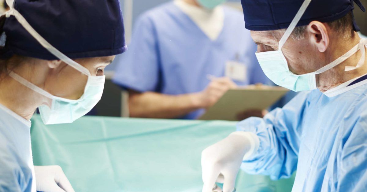 Everything you need to know about organ transplants