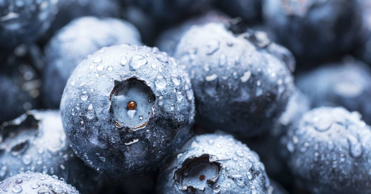 The best antioxidant foods: List and benefits
