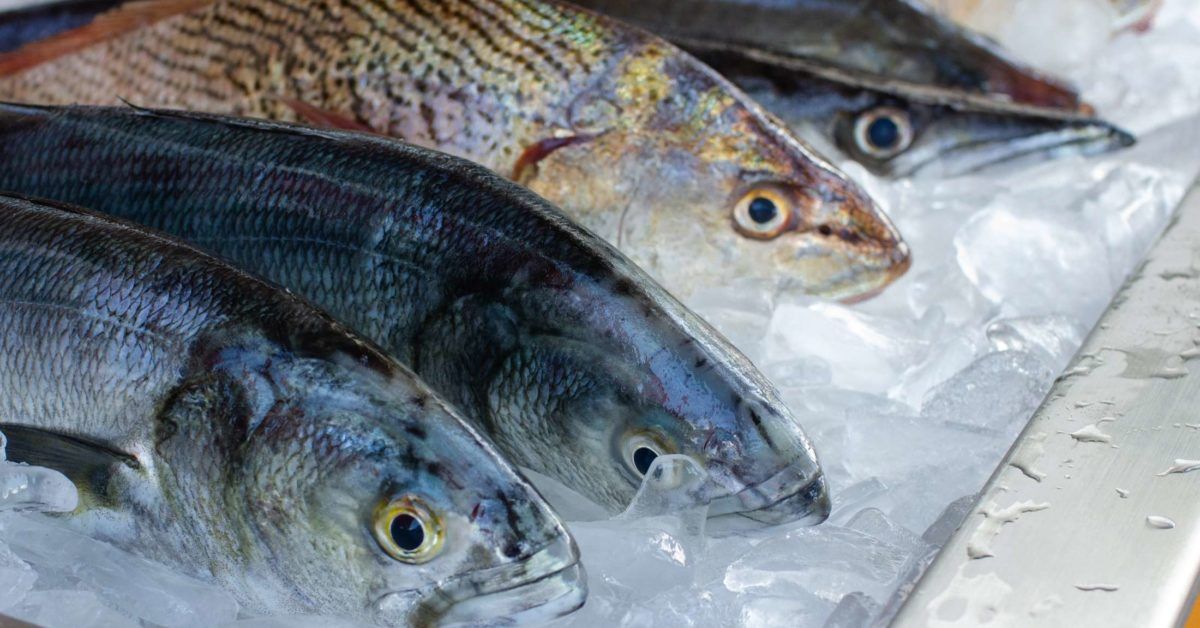 Why fish may become more toxic than ever