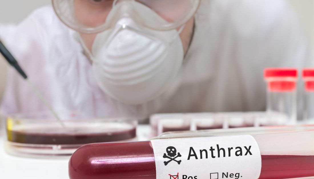 Anthrax: Causes, treatments, and risks