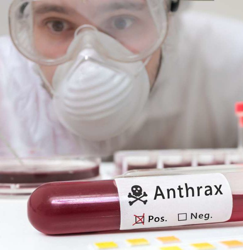 Anthrax: Causes, treatments, and risks