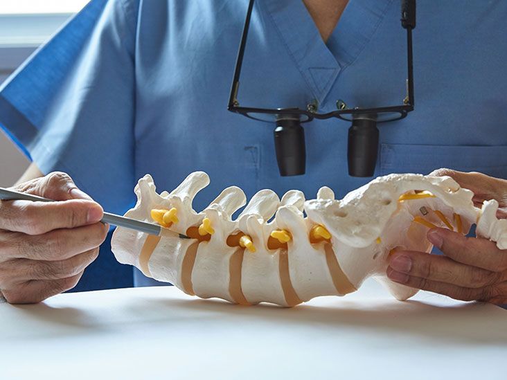 Back anatomy: Diagram and overview