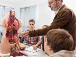 Anatomy: What is it, and why is it important?