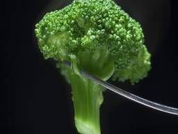 How broccoli protects your gut