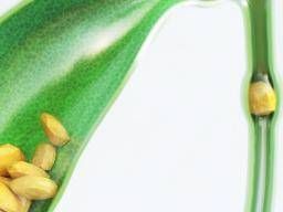 Choledocholithiasis: Causes, types, and risk factors