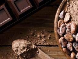 Cocoa compound could 'delay or prevent' type 2 diabetes