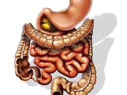 Endoscopy Complications More Common Than Previously Estimated, US