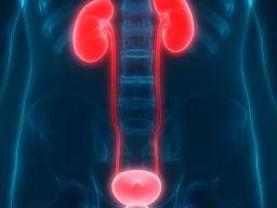 Vesicoureteral reflux: Types, causes, and symptoms