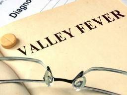 Valley fever: Causes and treatments