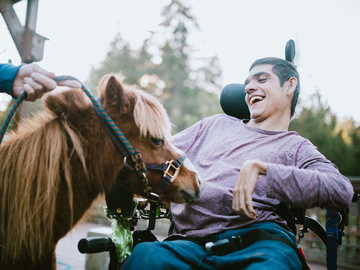 Animal therapy: How it works, benefits, and more