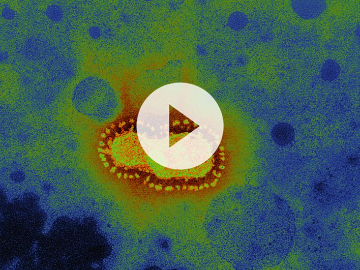 How do human challenge studies help further science?