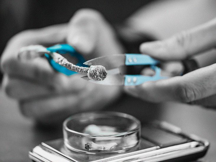 Psychedelic microdosing benefits and the placebo effect