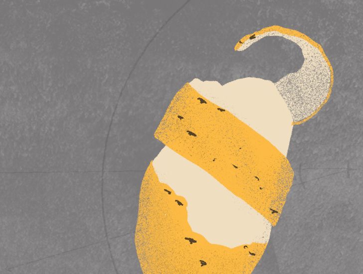 How do genetically modified foods influence health?