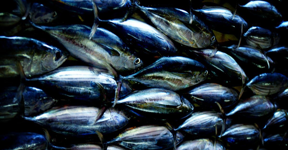 Selenium: Health benefits, sources, and potential risks