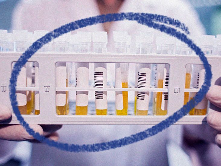 Facts about blood plasma