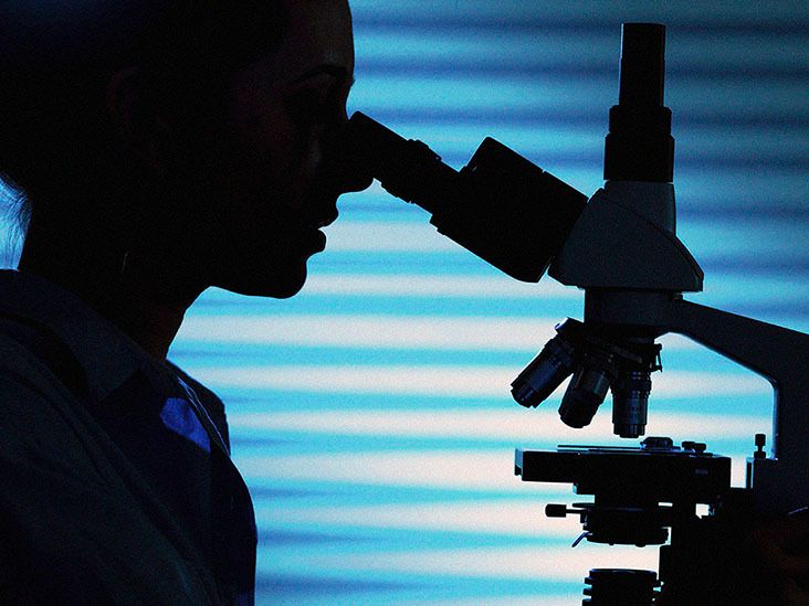 Lymphocytes: Levels, ranges, and functions