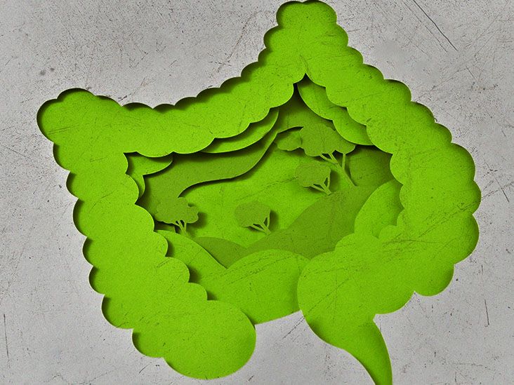 Descending colon: Location and function