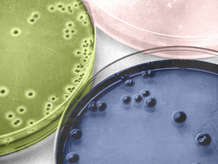 Interdisciplinarity and COVID-19: Progress and challenges