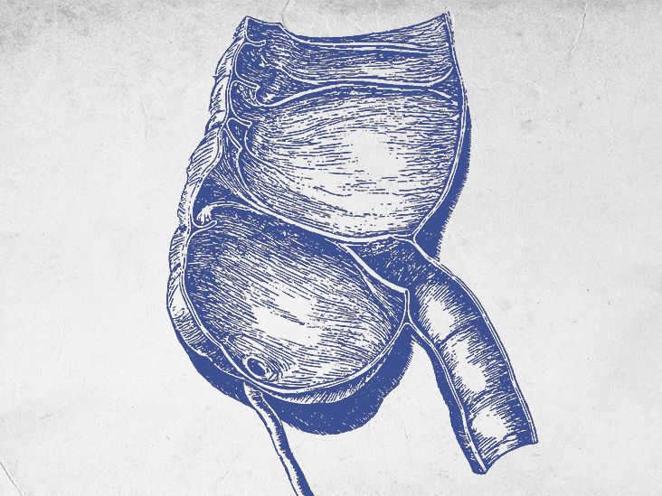 Colon anatomy: Pictures, features, and function