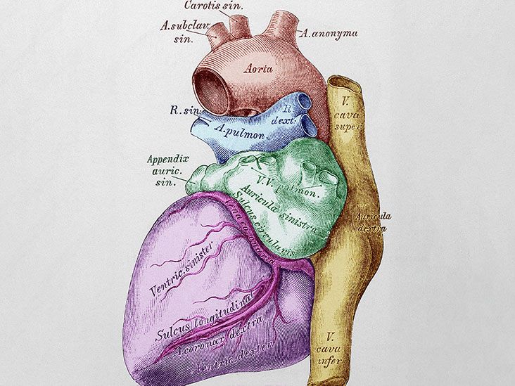Fluid restriction for heart failure: Link, evidence, and tips