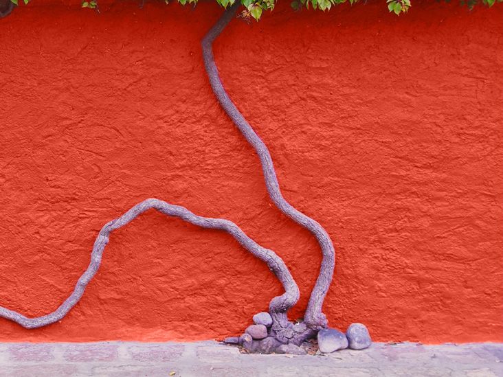 Kidney cancer: How fast it spreads, symptoms, and outlook