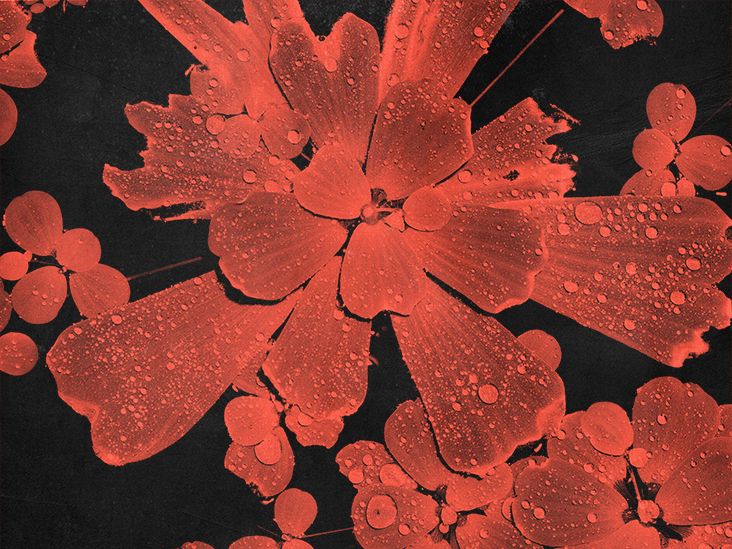 Hemolysis: Types, causes, and treatments