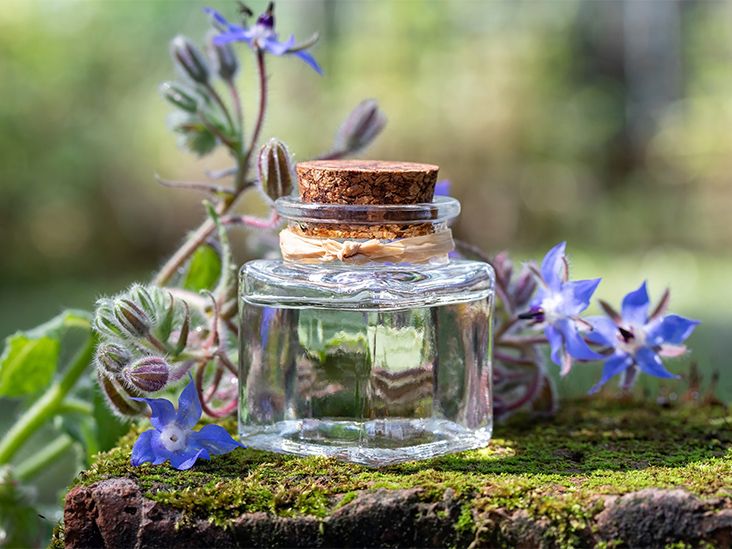 Borage oil: Does it help with eczema?