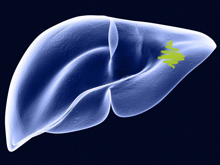 Liver hilum: Definition, anatomy, function, and more