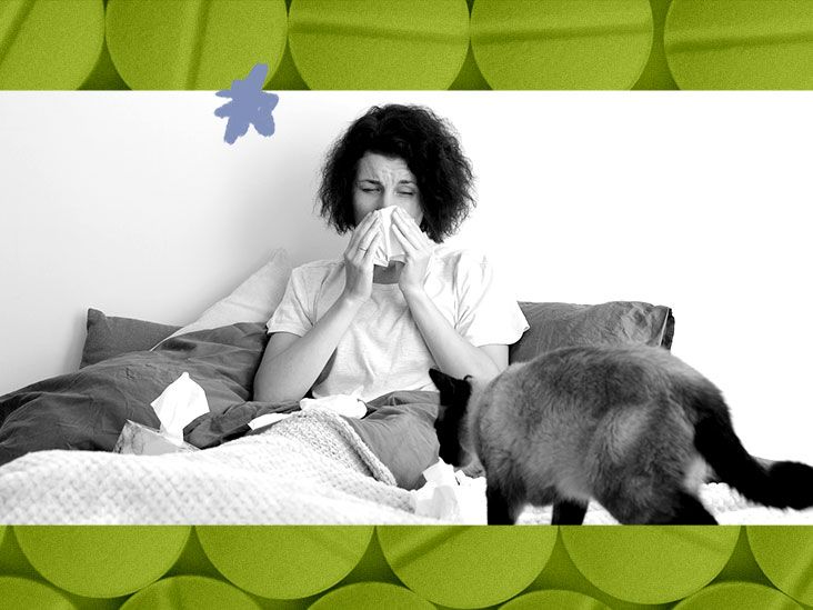 Best medication for congestion: Types and how to use