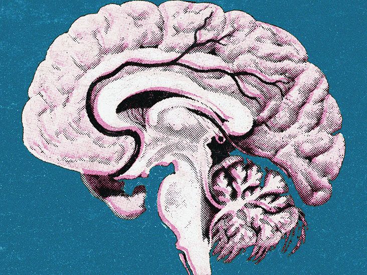 ACTH: Function, tests, and ranges