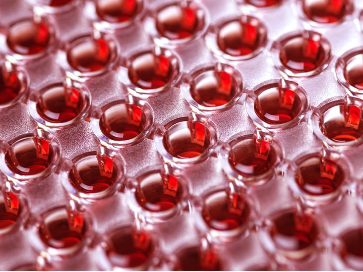 Innovative blood test may detect cancers that are hard to diagnose