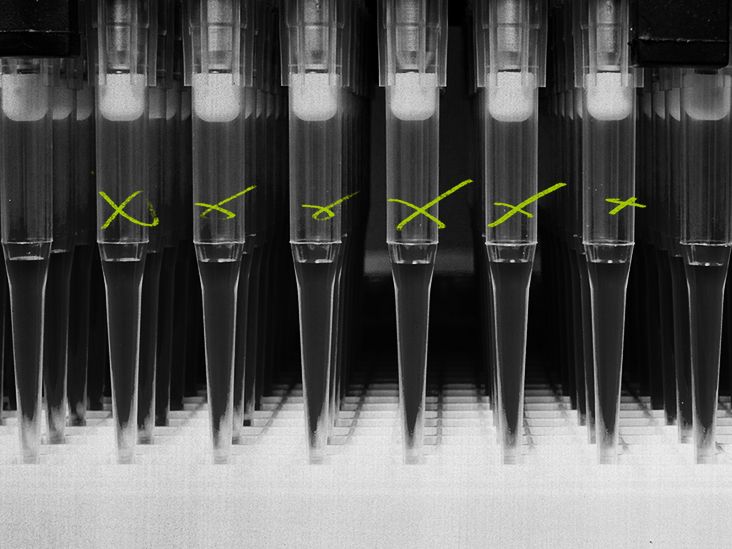 Molecular testing: How it works, types, and more Molecular testing: How it works, types, and more