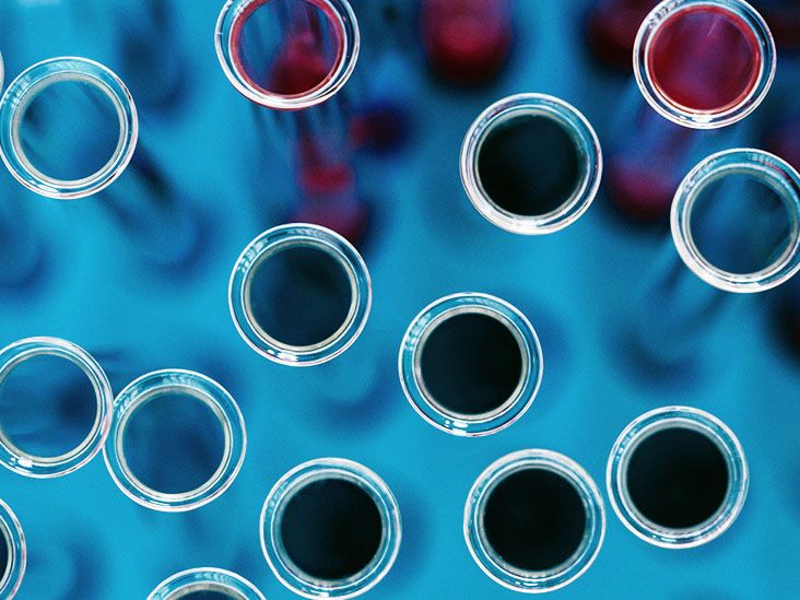 Gene vs. genome: Definition, function, and impact Gene vs. genome: Definition, function, and impact