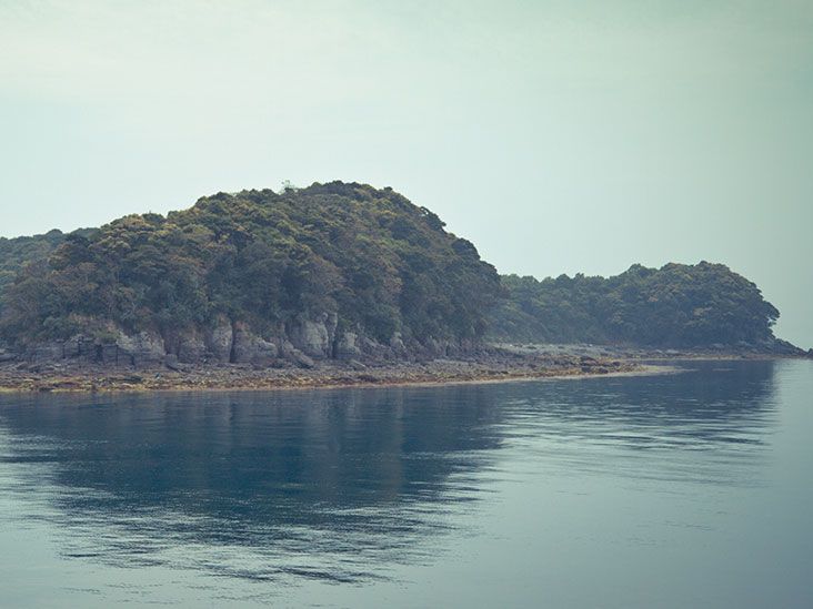 Minamata disease: The effects of outbreak and more