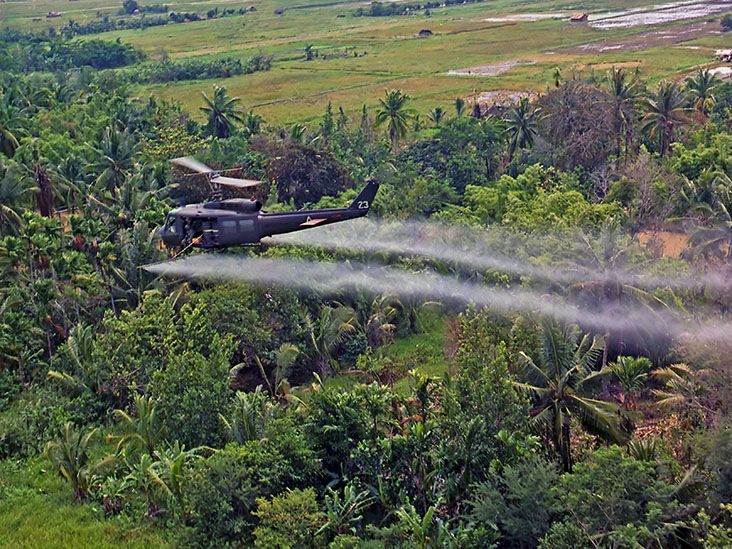 Kidney cancer and Agent Orange: Is there a link?