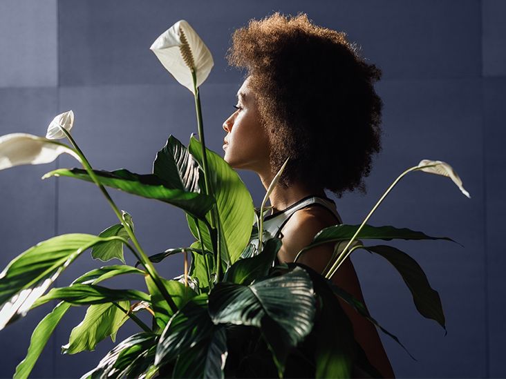 Plants and asthma: Types, benefits, and considerations