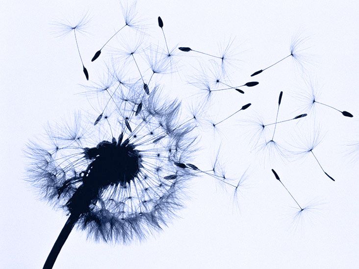 Is tuberculosis contagious? How it spreads and risk factors