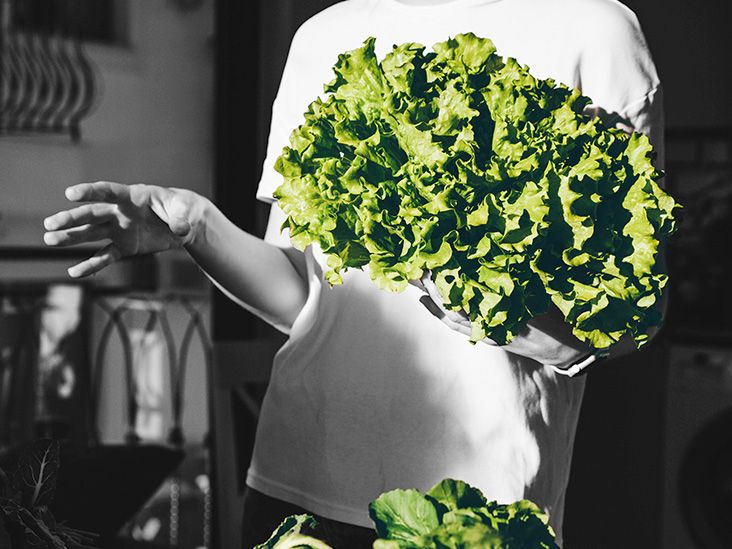 Cholesterol: Plant-based diets may lower risk of stroke, heart attacks