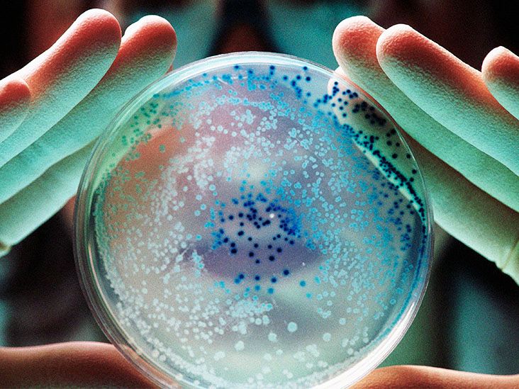 Hemorrhagic gastroenteritis: What to know