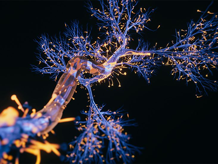 The link between ALS and nerve injuries