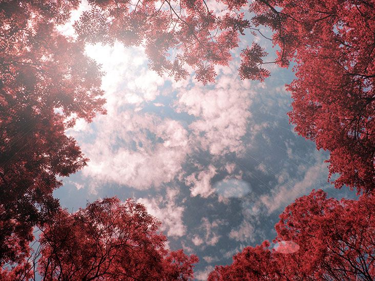 Papulopustular rosacea: Pictures, treatments, and more