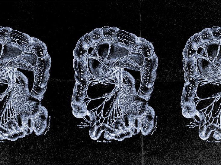 The mesentery: What is it and its function