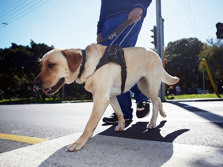 Orientation and mobility training: Goal, skills, and what it involves